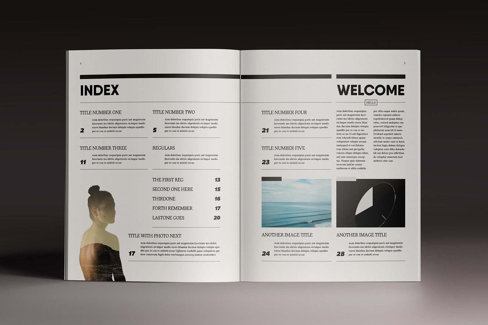Indesign Magazine Template